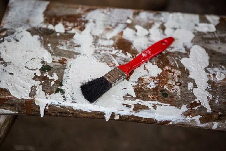 Therapeutic Activities at High Mead Farm in Ferndown, Dorset