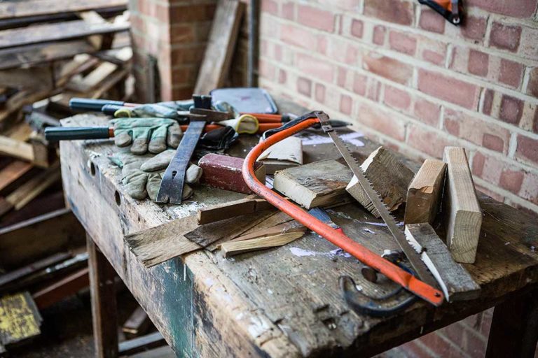 Therapeutic Activities at High Mead Farm in Ferndown, Dorset